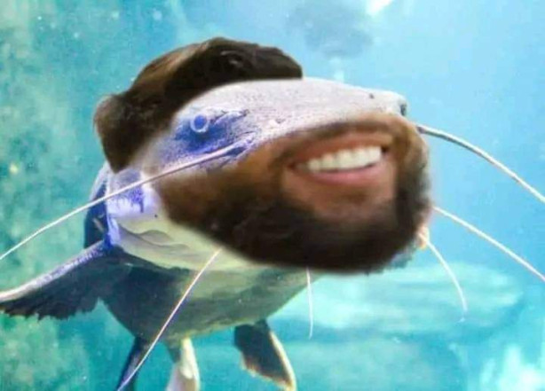 Arthur Souza>>>>Bagre Alberto