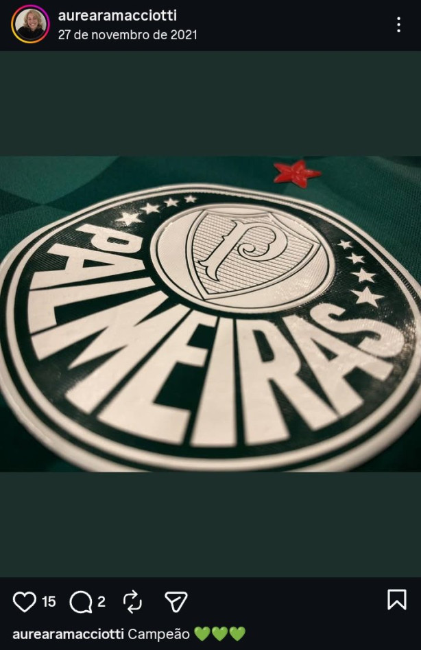 Aurea andrade ramacciotti (palmeirense)嵐